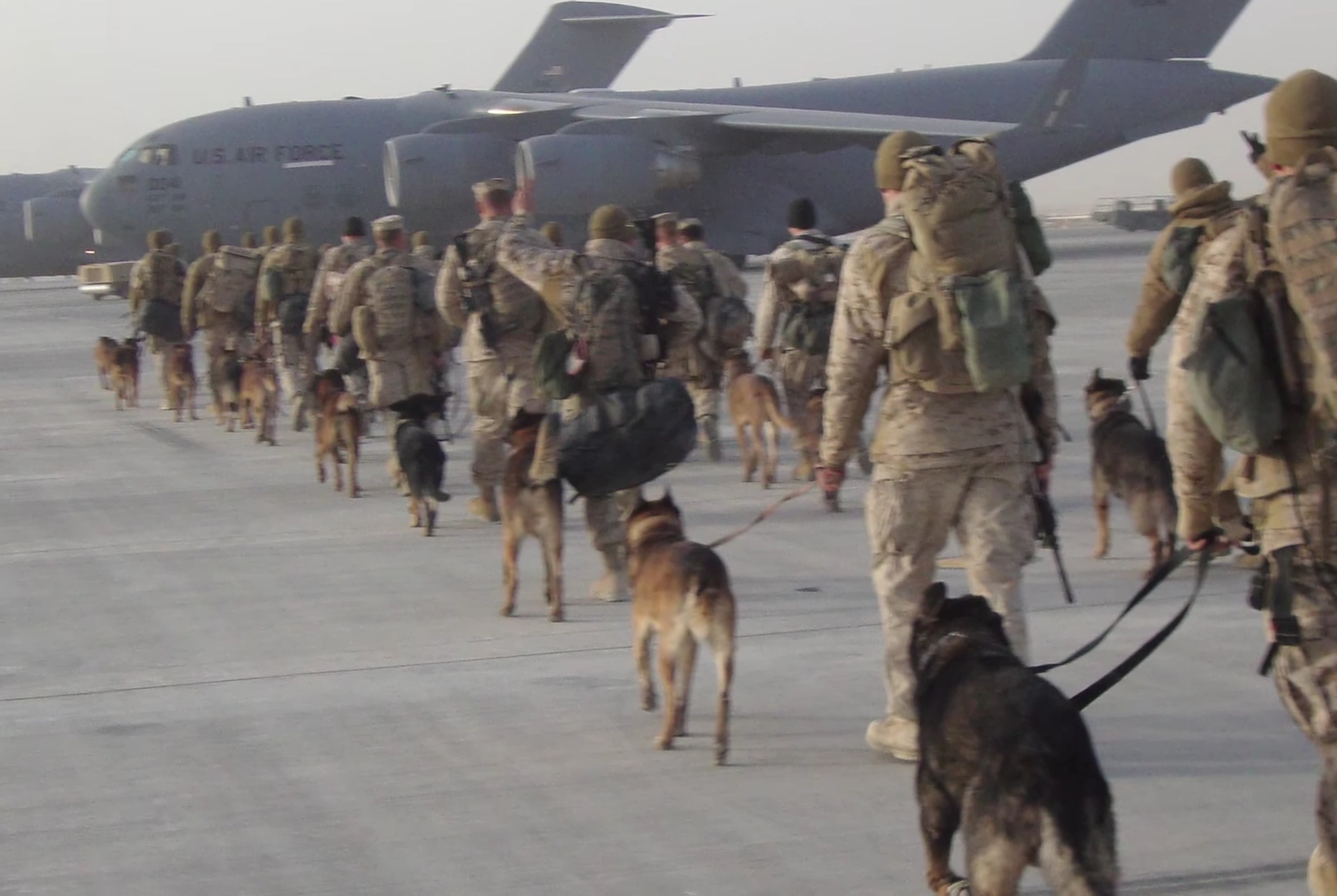 Marine Kneels Down To Thank The Dog That Saved His Life. But Look At ...