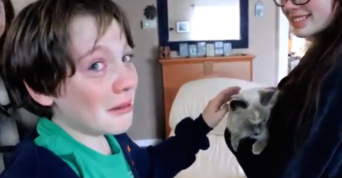 Boy Cries Tears Of Joy After Mom Finds Missing Cat