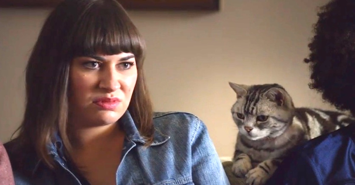 Older Cat Teaches Kitten How To Get Revenge On Strange Humans...OMG!