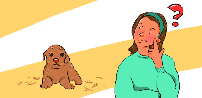 Here's What You Should Do If Your Puppy Is Losing Hair