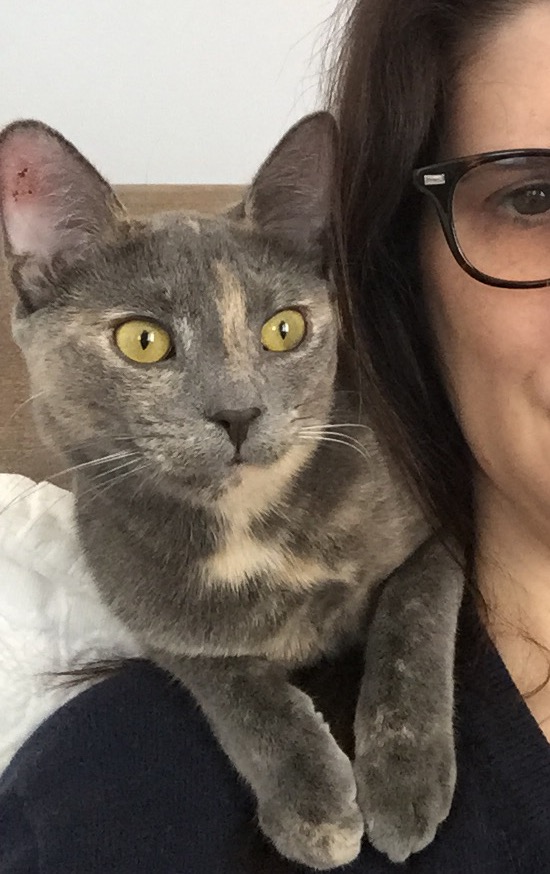 She Thought Her Cats Were Suspiciously Quiet. What She Finds? PRICELESS!