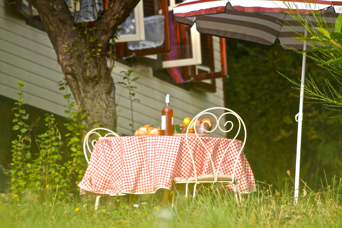 I Thought It Was A Weird Shack, But Behind These Trees? The MOST ...