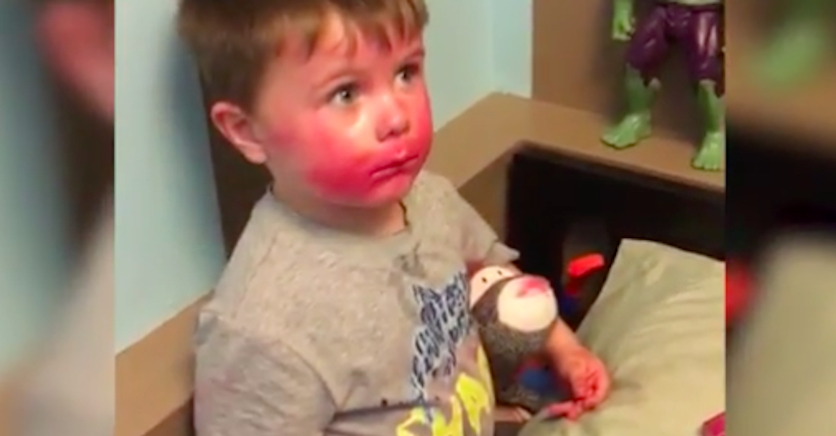 Little Boy Looks So Guilty After His Mom Discovers Where He Put His ...