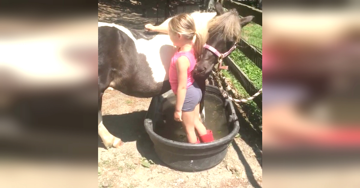Little Girl Scratches Her Baby's Back. But Keep Your Eyes On The Tiny ...