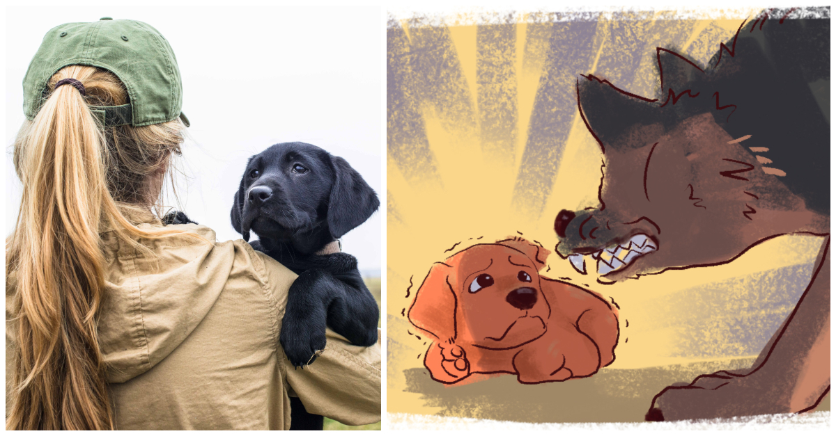 What Every Dog Owner Needs To Know If Their Puppy Is Attacked