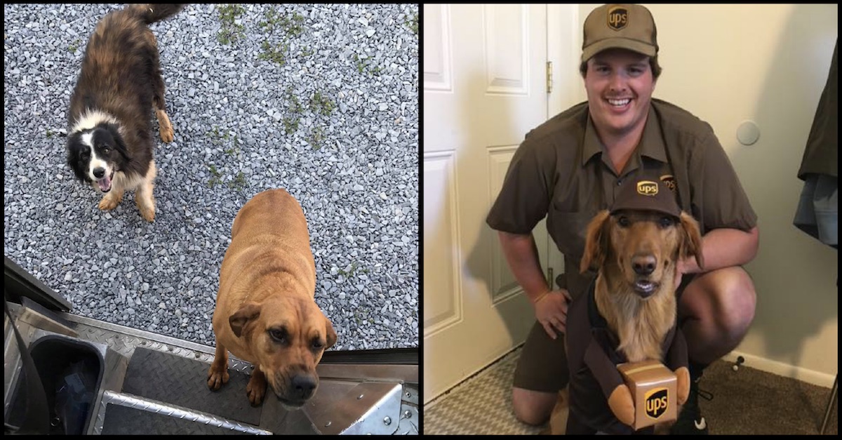 UPS Drivers Post Photos With Dogs On Facebook