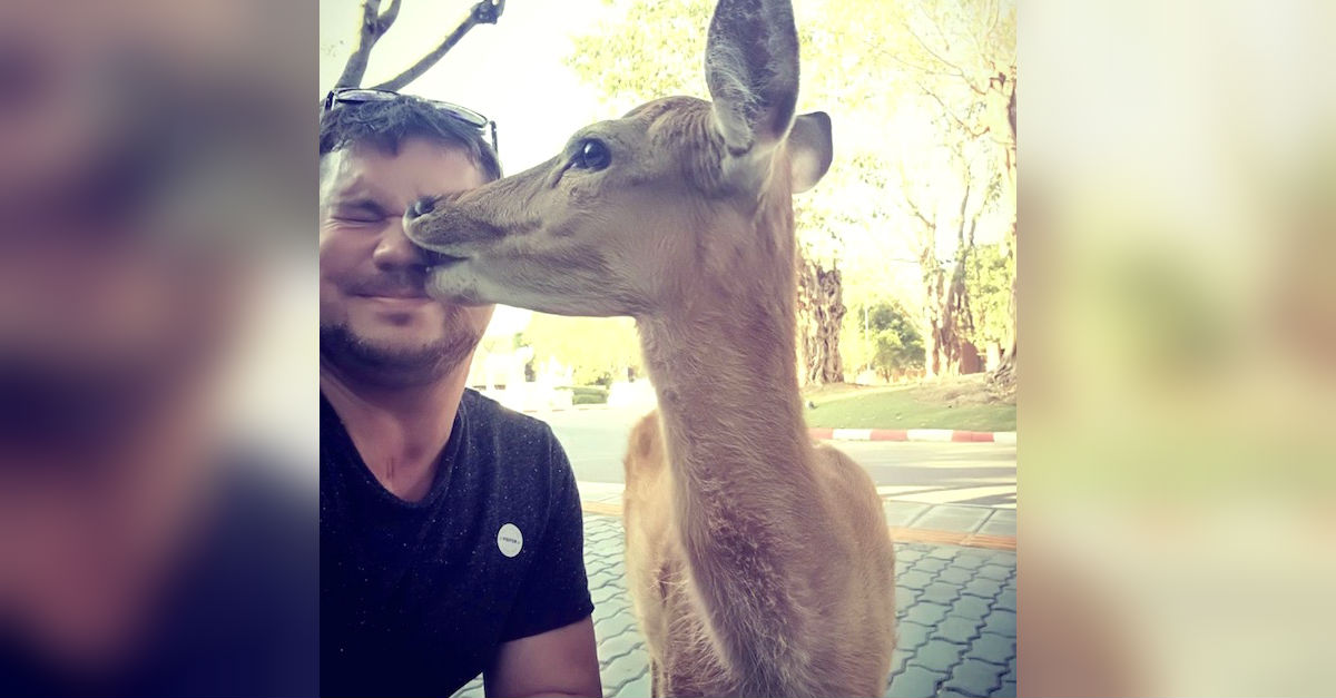 13 Awesome Animal Selfies That Will Make Your Darn Day