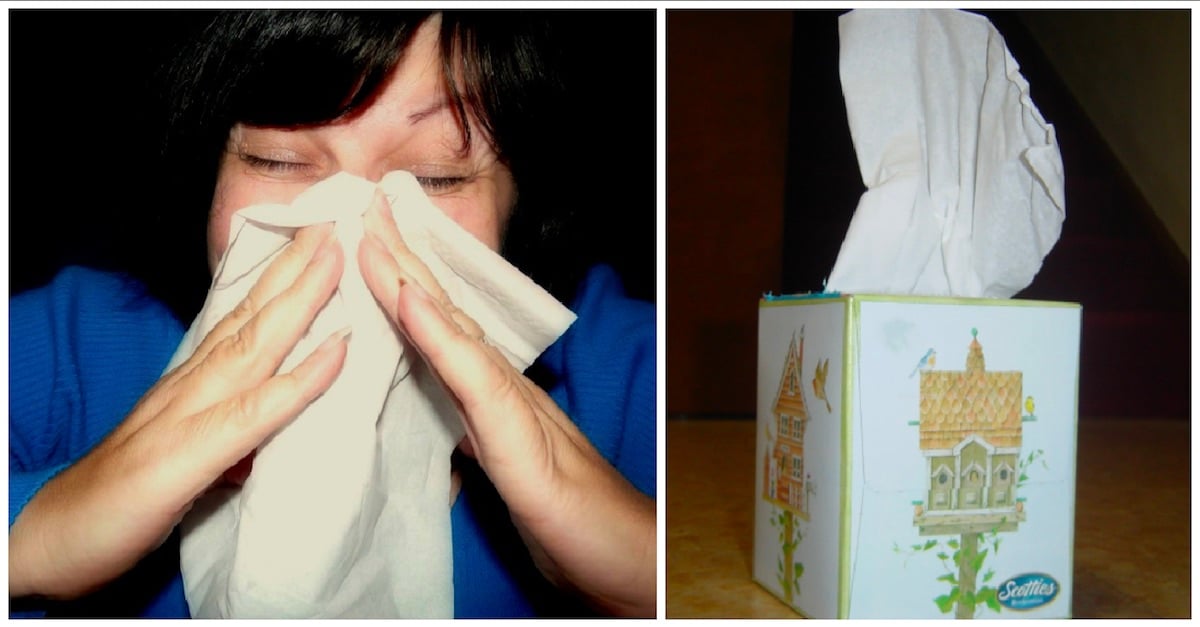 Nosebleed Causes And Treatment To Stop Them Fast