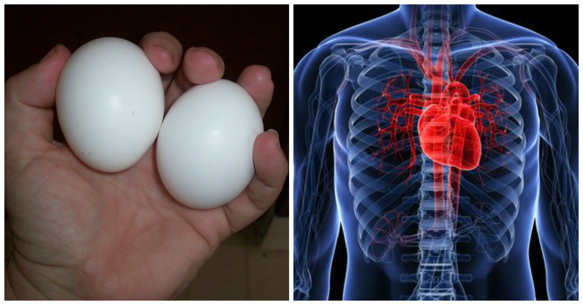 What Is Normal Cholesterol? 8 Myths That Will Surprise You