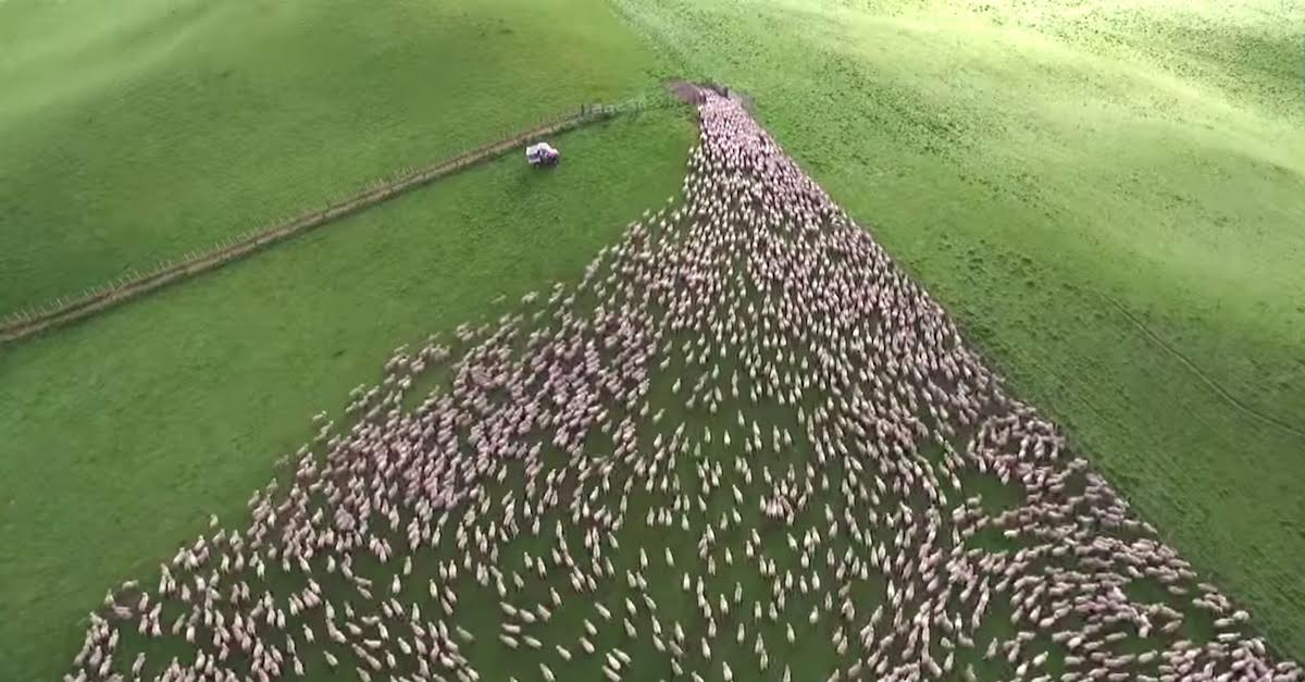 I Watched This Video For A Full Minute. Then I Realized 300 Sets Of ...