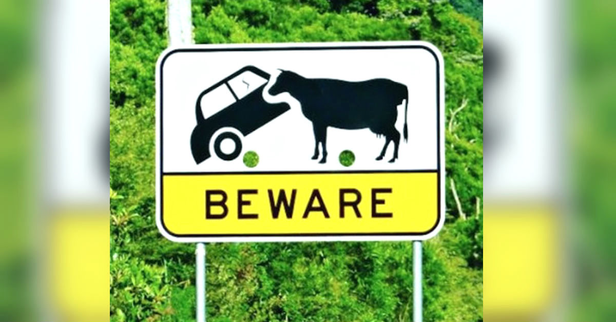 15 Everyday Struggles Of Country Life