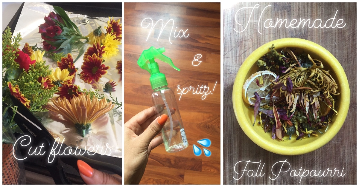 How To Make DIY Fall Potpourri