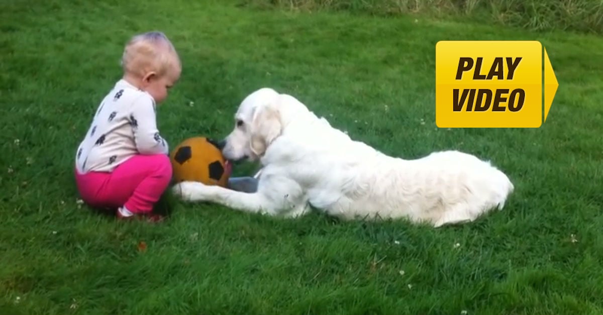 This Baby Is Having The CUTEST Conversation With This Dog. Adorable!!