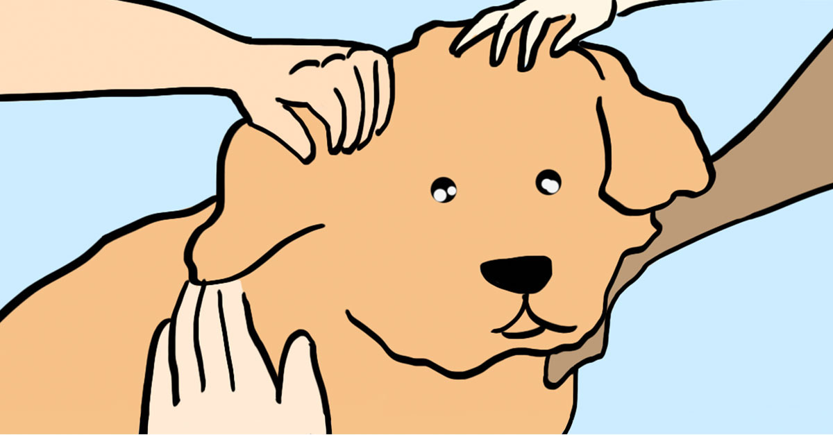 I Had No Idea My Dog Could Teach Me These 22 Life Lessons! Brilliant...