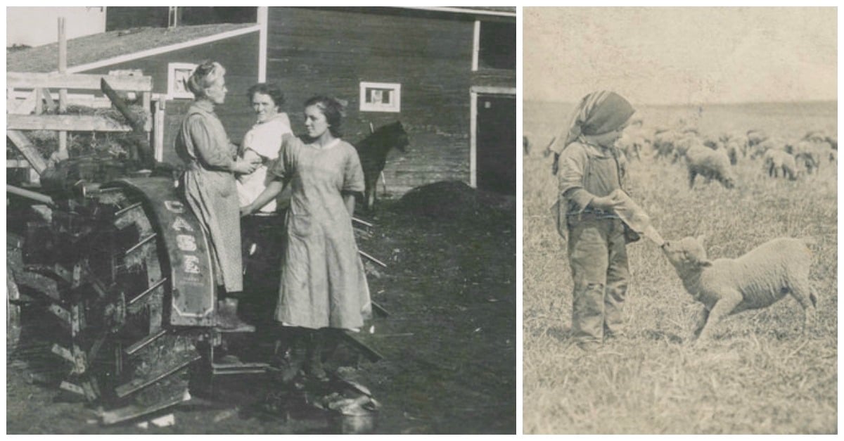 12 Vintage Farm Life Photos From A Simpler Time