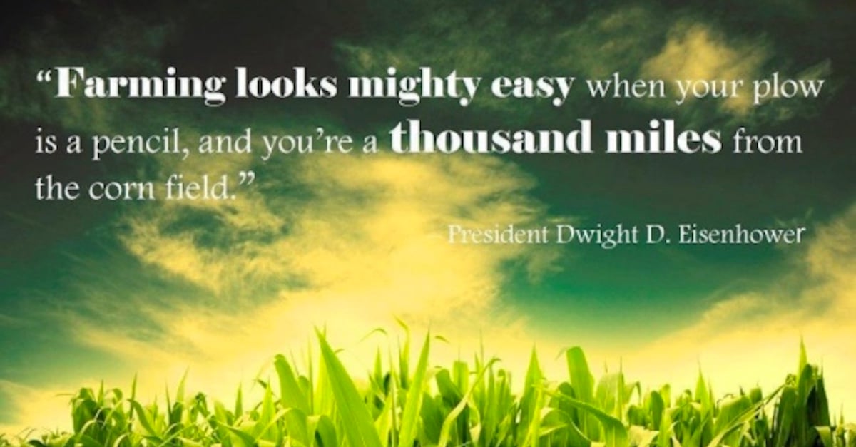 These 7 Quotes Perfectly Capture The Magic Of Farm Life