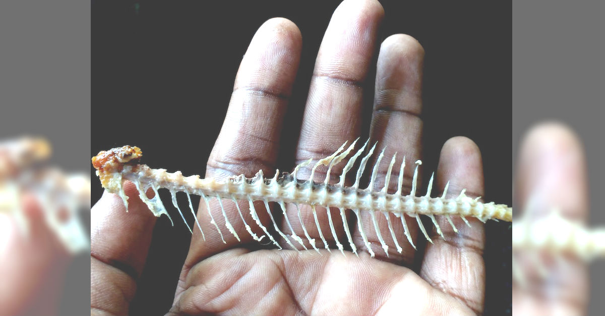 Here's What To Do When A Fish Bone Gets Stuck In Your Throat