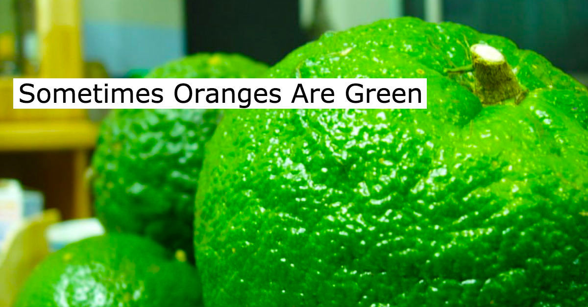 15 Crazy Food Facts That Are Totally True