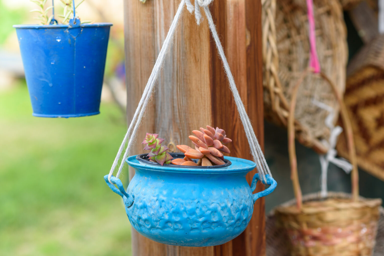 These Eco-Friendly Finds Make The Perfect Earth Day Purchases