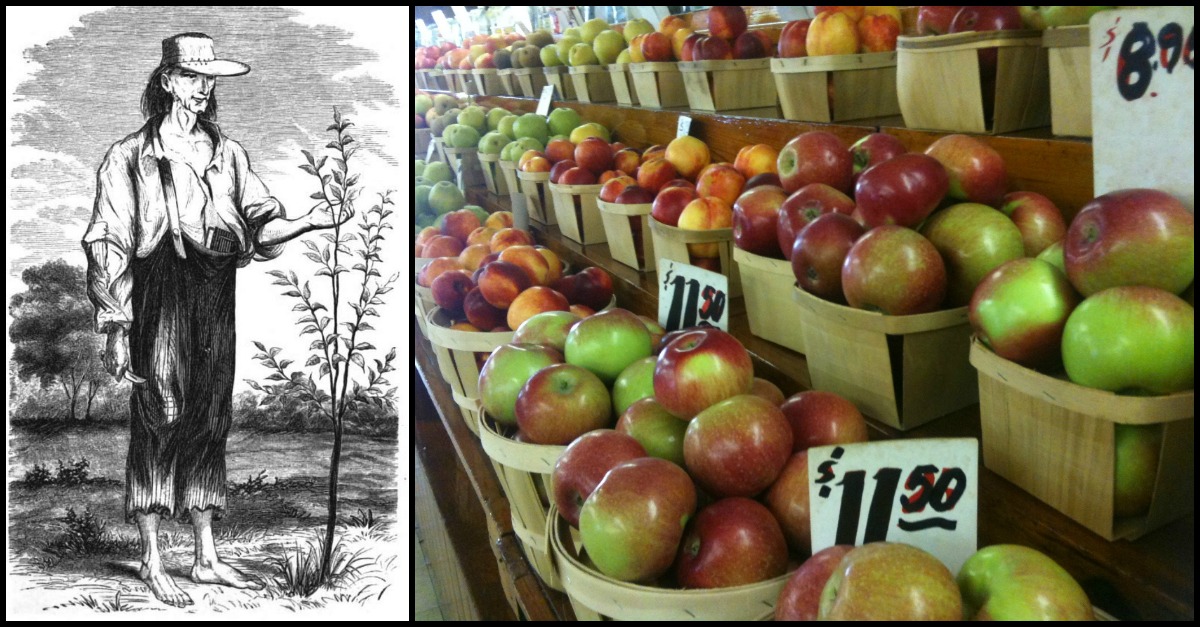 You've Heard Of American Legend Johnny Appleseed, But Who Was He Really?