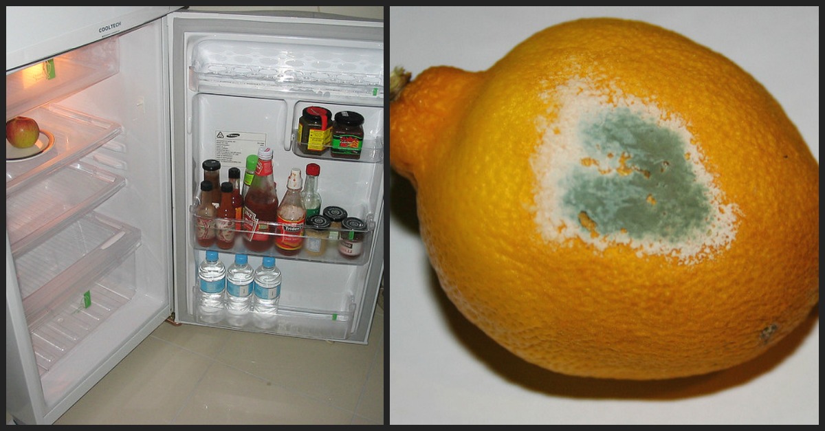 Mold On Food: What’s Safe And Unsafe To Eat?