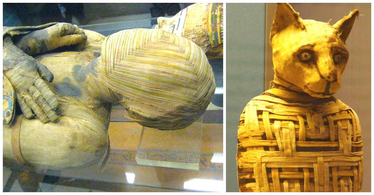9 Surprising Facts About Mummies