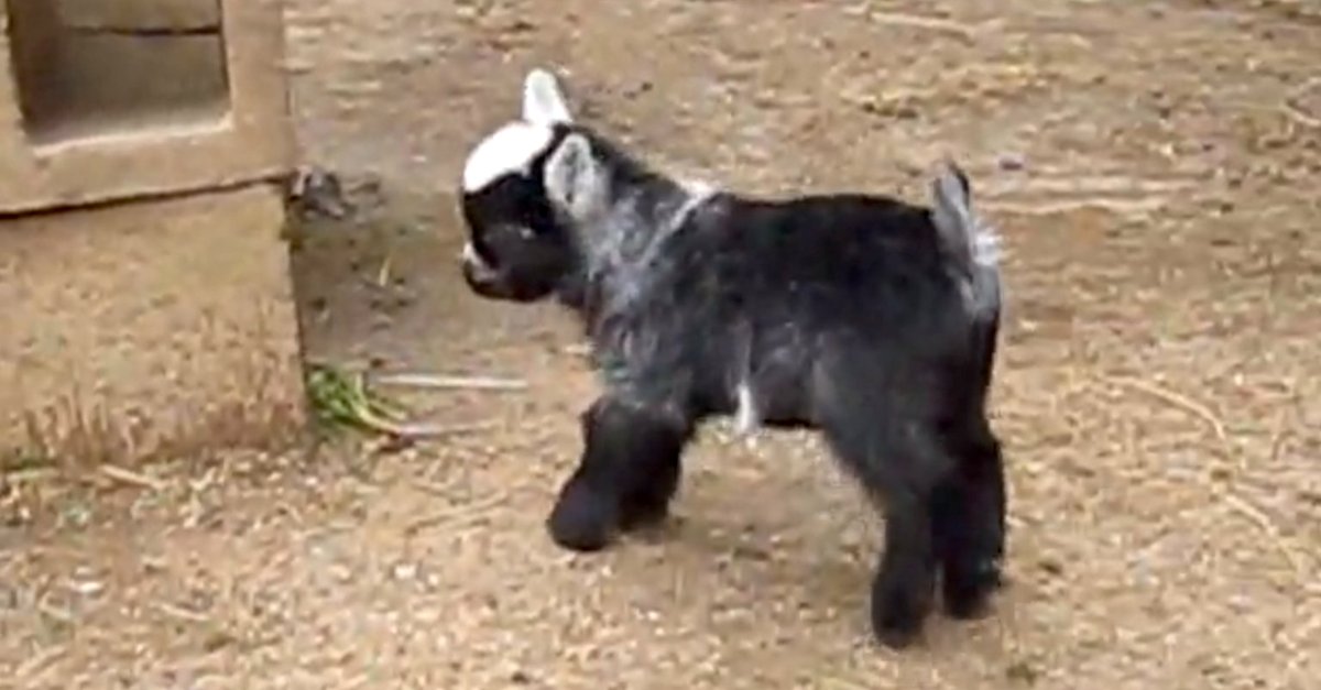 This Baby Started Acting Funny, So They Pulled Out Their Camera... Whoa!