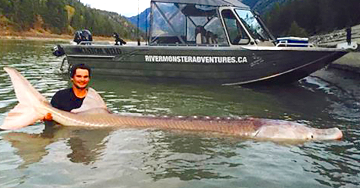 Teen Reels In 650-Pound 'Pig Nose' Fish Who’s Been A Town Legend For 40 ...