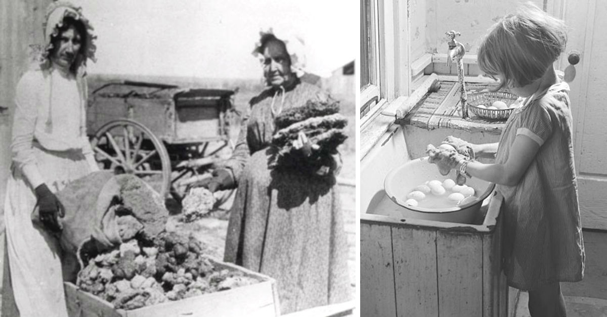 Pioneer Life: Collecting 'Buffalo Chips' And 10 Other Chores From Way ...