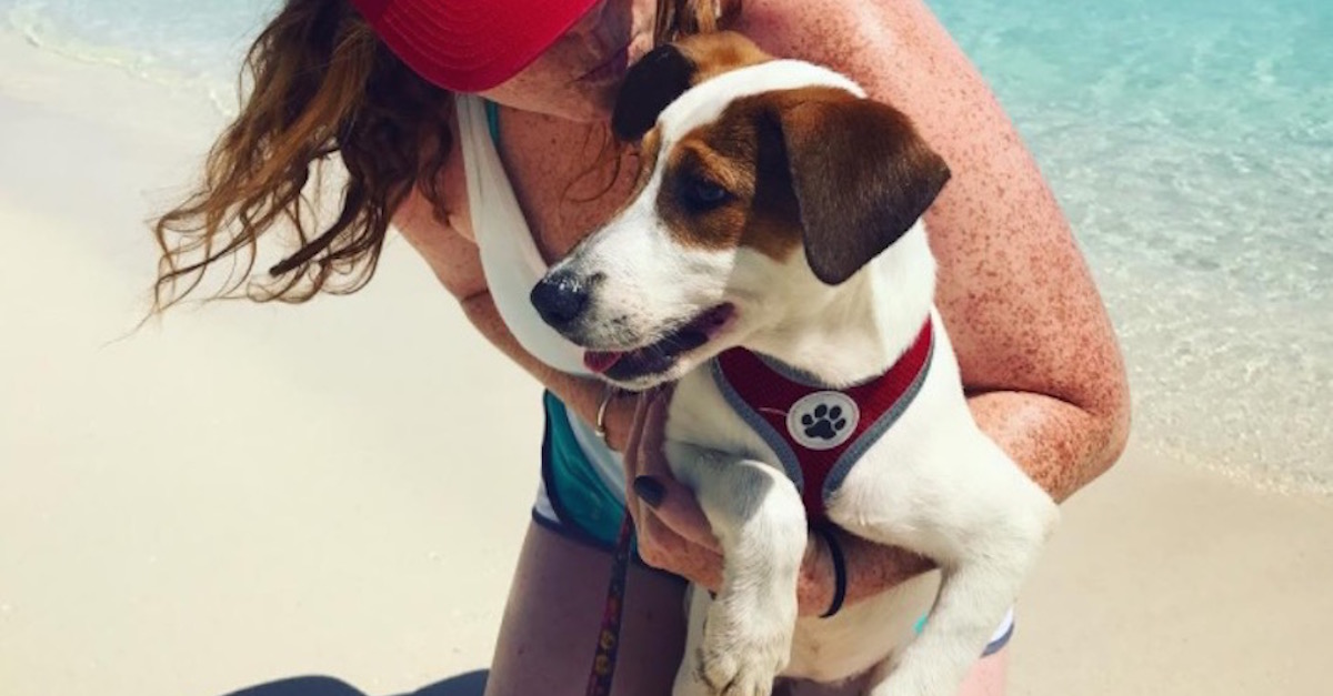 Potcake Place Turns A Tropical Beach Into Puppy Dreamland