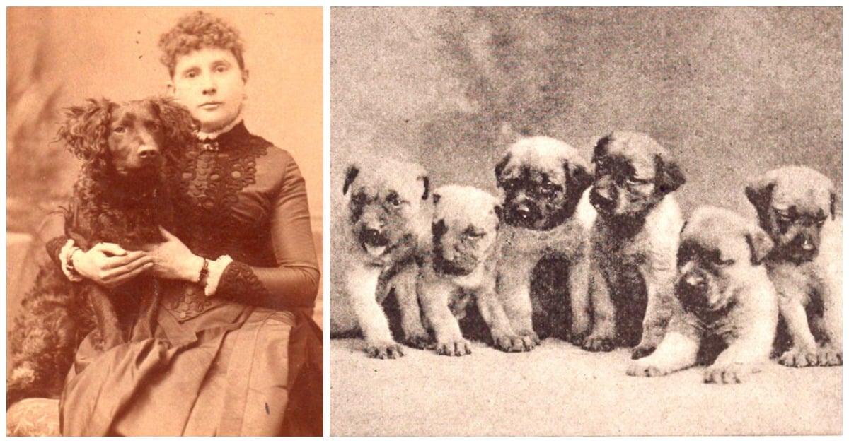 10 Of The Most Popular Dog Names From The 1800s
