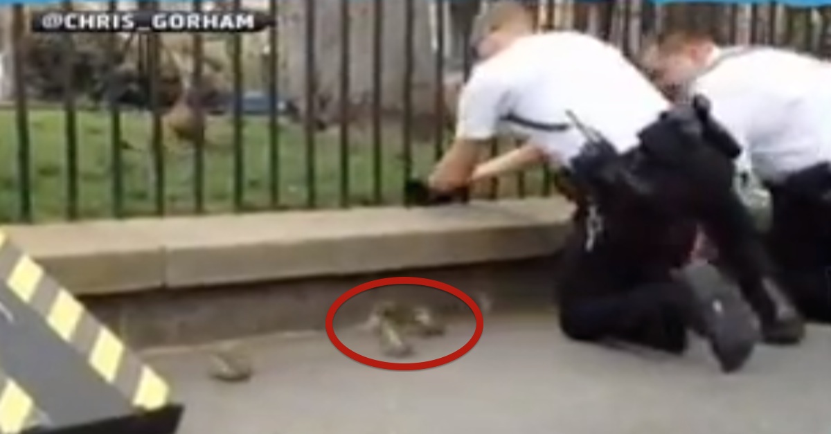 [Caught On Camera] Secret Service Makes Remarkable Rescue Outside The ...