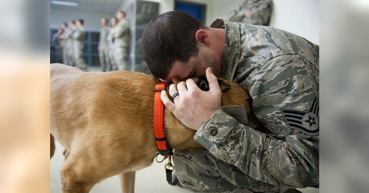 10 Ways You Can Support The Troops And Their Families