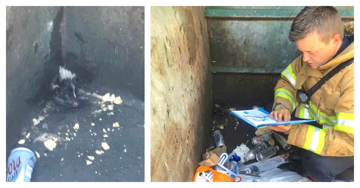 Fireman Comforts Trapped Skunk By Reading 'The Cat In The Hat' During ...