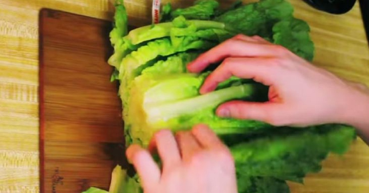 The RIGHT Way To Cut Lettuce And Keep It Fresh!