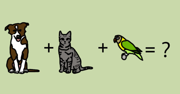 These Four Fun Math Problems Are Great For Kids