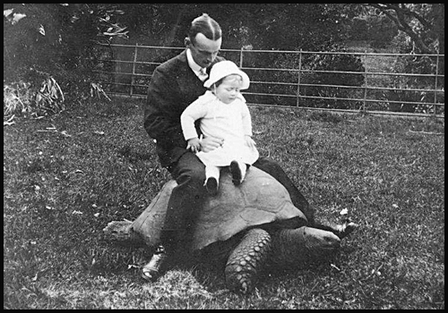 They Snap A Photo Of A Giant Tortoise. 133 Years Later? SHOCKING!
