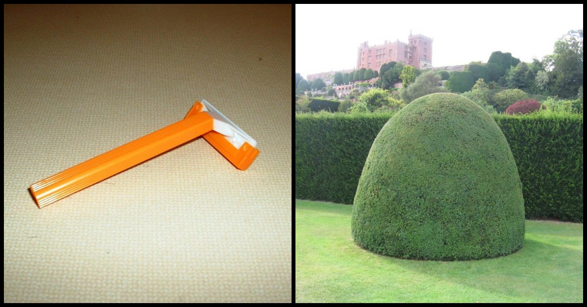 Barber's Trim Reveals Young Man's Handsome Face