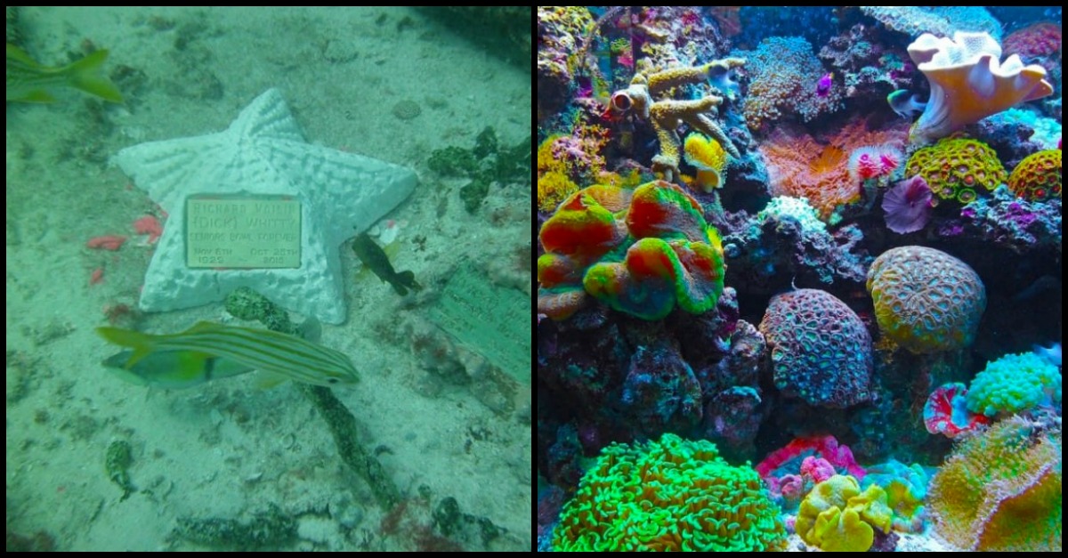 Underwater Graveyard Honors Loved Ones And Supports Ocean Life
