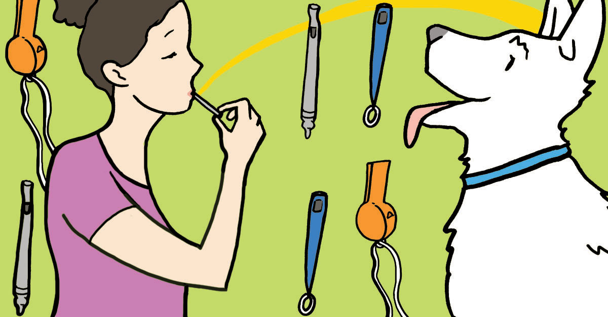 Dog Whistles: When And How To Use Them Safely