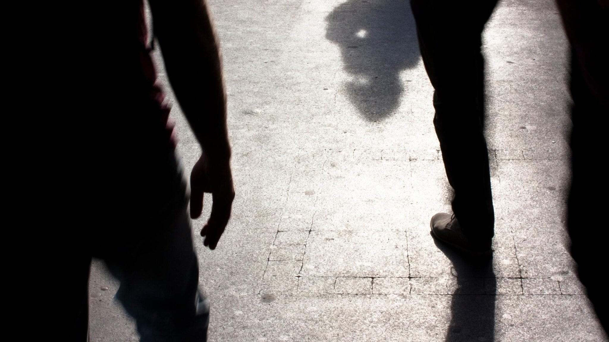 11-Year-Old Girl Saves Little Brother From Attempted Abduction