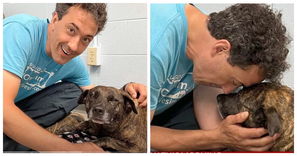 Cavers Rescue Dog Stranded 40 Feet Underground In Virginia
