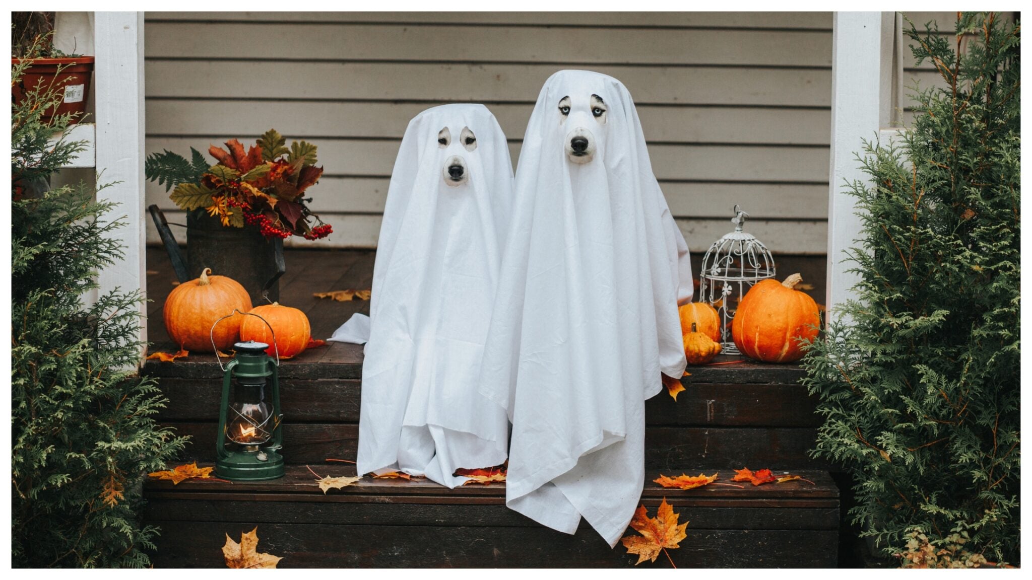 The 10 Funniest Halloween Costumes for 2024