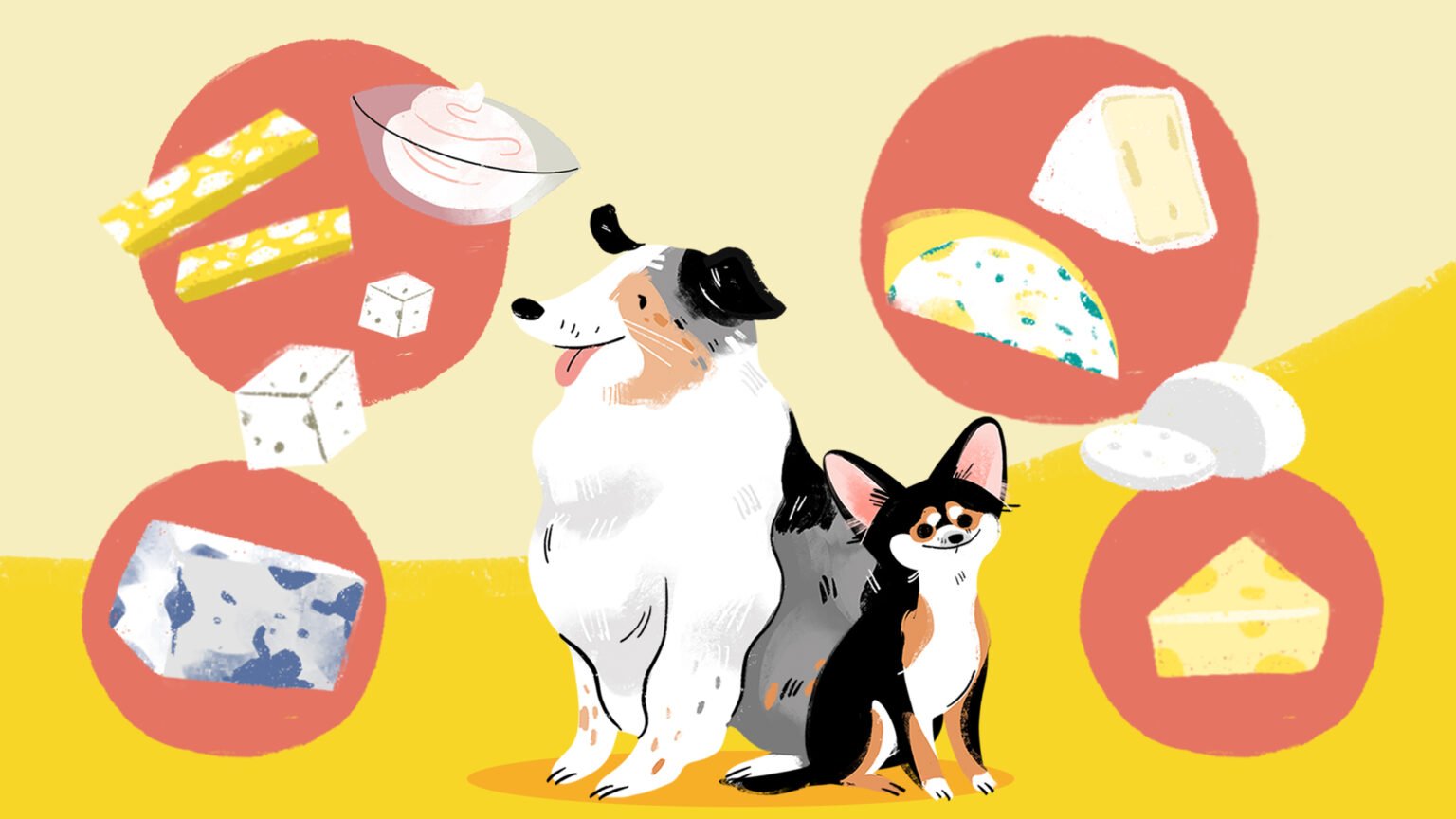 Having Pets Teaches Kids Responsibility In These 7 Important Ways