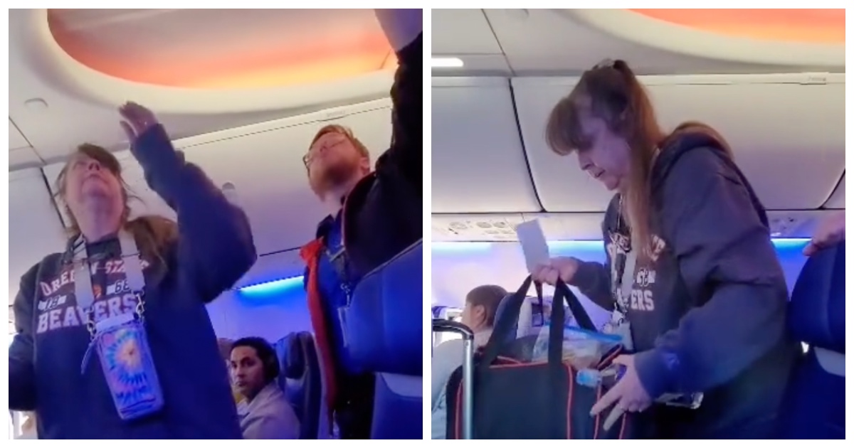 Passengers Defended Woman Who Pet A Dog On A Flight; They Were All ...