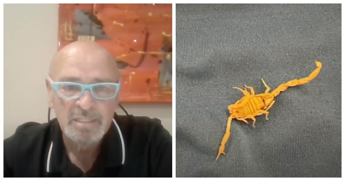 Man Stung By Scorpion On His Testicles While Asleep In Las Vegas Hotel