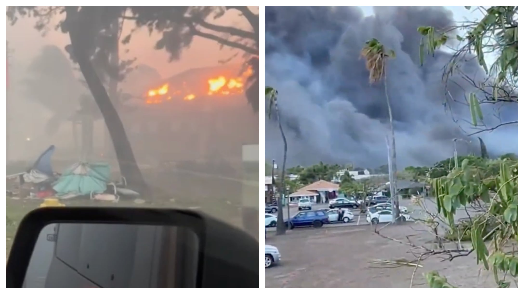 What Caused The Devastating Wildfires In Maui?