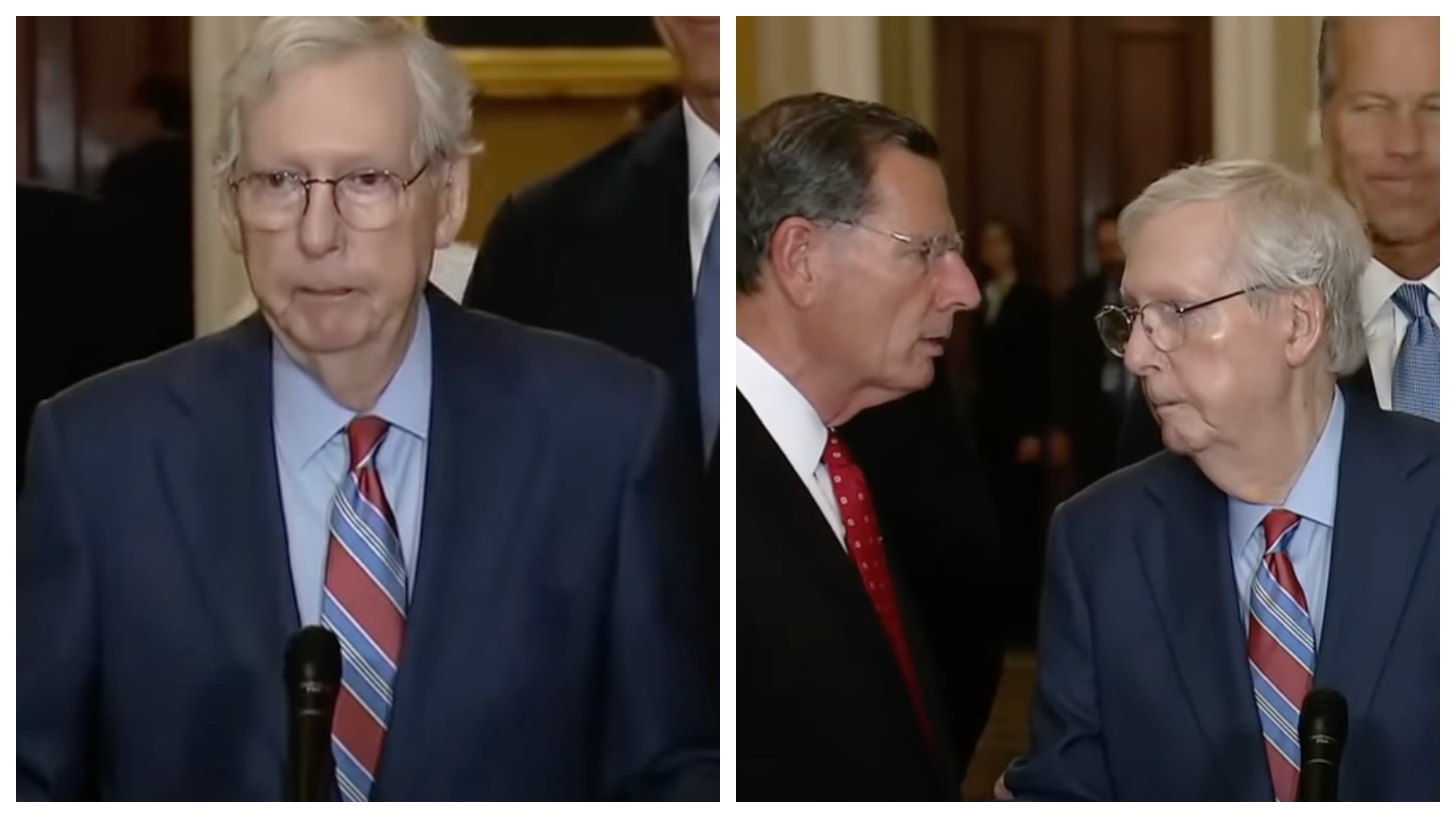 Mitch McConnell Freezes During Press Conference