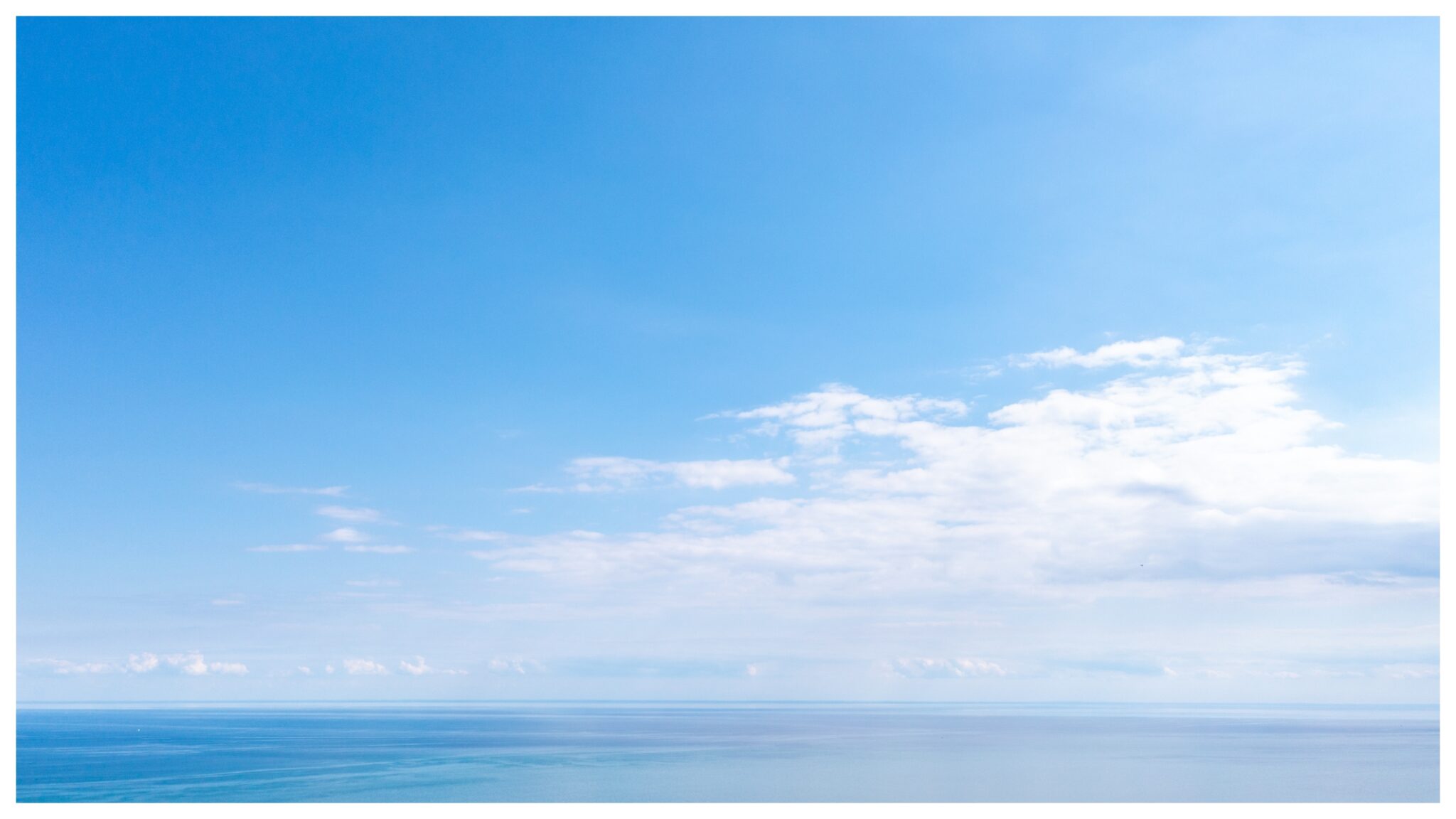 Teen Sacrifices His Own Life To Save 4 Kids He Didn’t Know In Florida