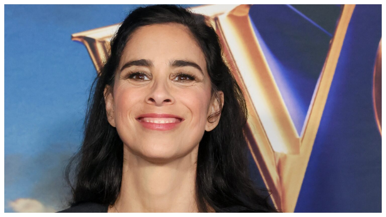 Sarah Silverman Reveals Her Father's Death Mere Days After Stepmother's
